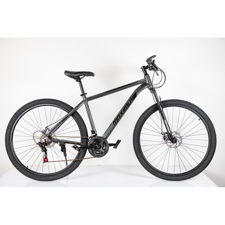 Winnerbike Bicikl 29"/21 maximus grey Bck0953ID: EK000871843