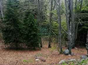 Prodaja Građevinsko zemljište - Raška