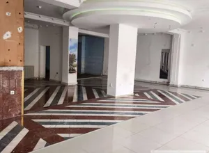 Izdavanje Lokal - Novi Sad