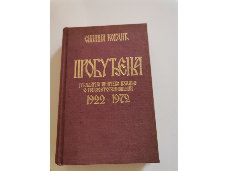 Siniša Kordić, PROBUĐENA