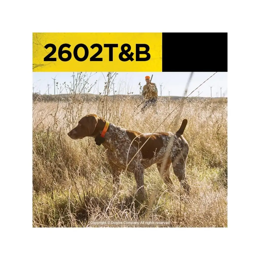 Ogrlica za dresuru i Biper Dogtra 2602T&B (za dva psa)