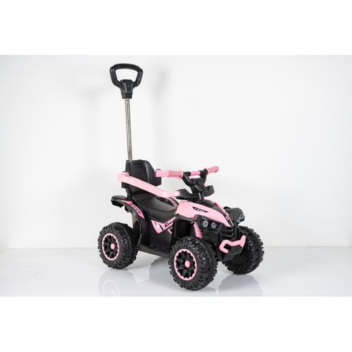 BIC.QUAD PUSH 921 PINK
