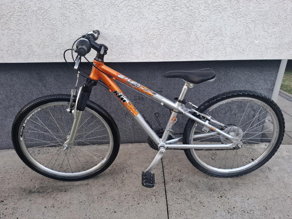 KTM Wild One 24"