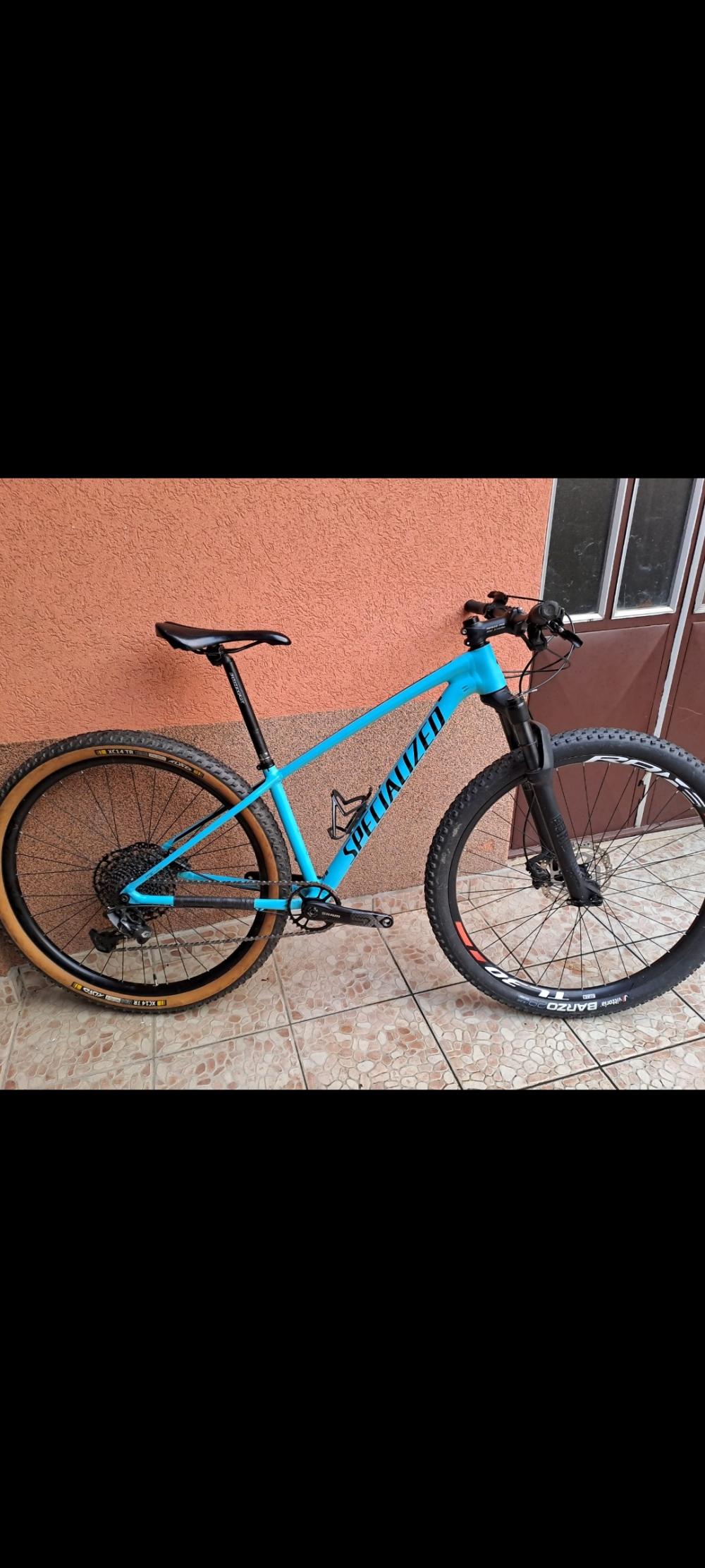 SPECIALIZED 29