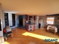 ZVEZDARA Vitezova Karađorđeve zvezde ID: 880441291