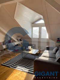 VRACAR Njegoševa-Vračar ID: 93618942