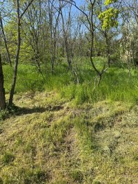 Plac na prodaju u podnozju Vrsackog brega