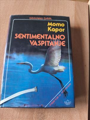 Sentimentalno vaspitanje – Momo Kapor