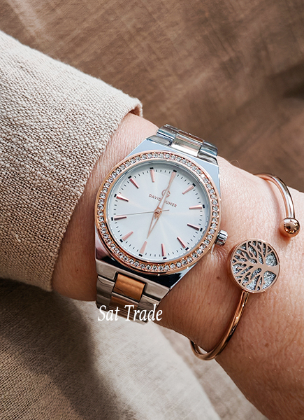DAVID GUNER DG-8699LA-E1