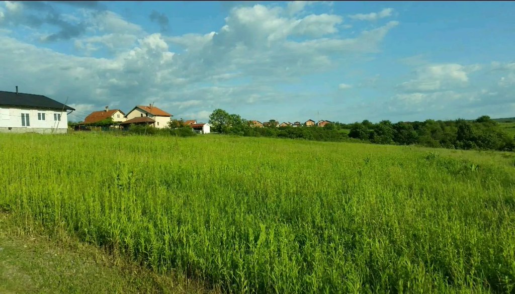 Prodaja, plac, 5870m², Sremčica, Beograd