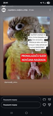 Neatao papagaj na Altini!!!!
