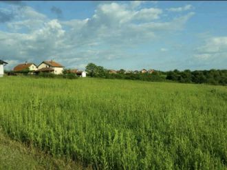5.870m² 2.830€
Beograd, Čukarica, Sremčica