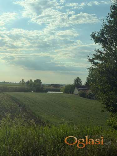 Plac na bisernom ostrvu u Čurugu Vlasnik 1/1