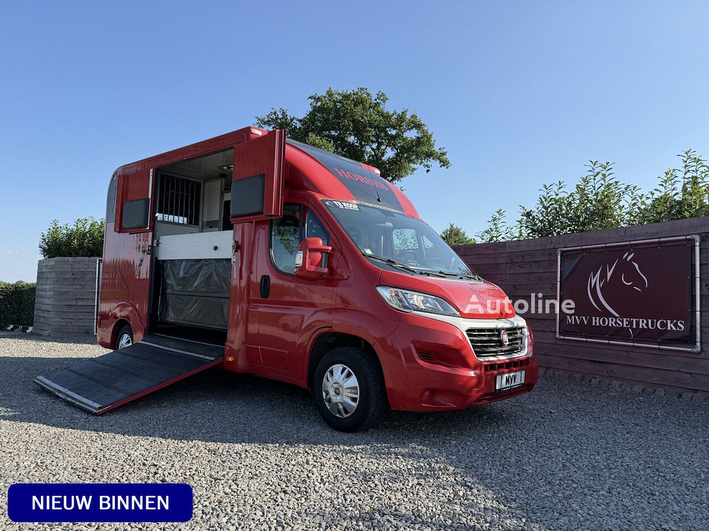 Fiat Ducato | HORSETRUCK | LR | STALLION 3XL vozilo za prevoz konja