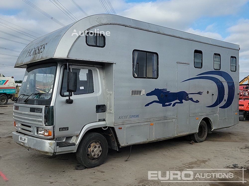Prodaje se DAF 4.5 130 vozilo za prevoz konja na aukciji