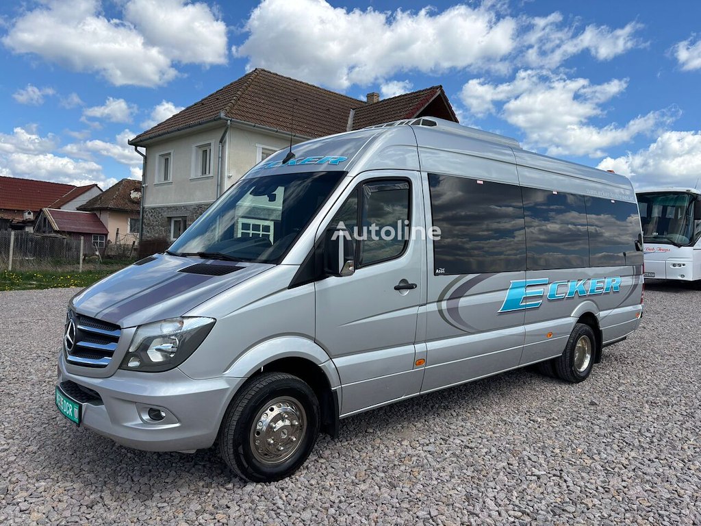 Mercedes-Benz Sprinter 516 putnički minibus