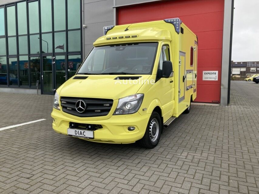 Mercedes-Benz 319 CDI Ambulance Container vozilo hitne pomoći