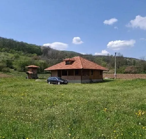 VIKENDICA, BRUSNICA