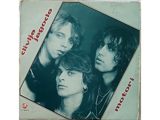 DIVLJE  JAGODE  -  MOTORI