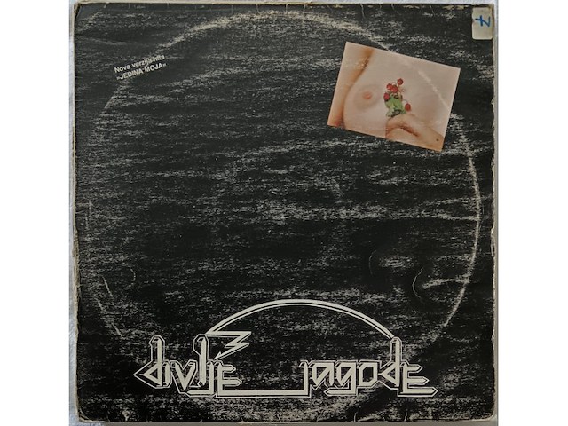 DIVLJE  JAGODE  -  DIVLJE  JAGODE