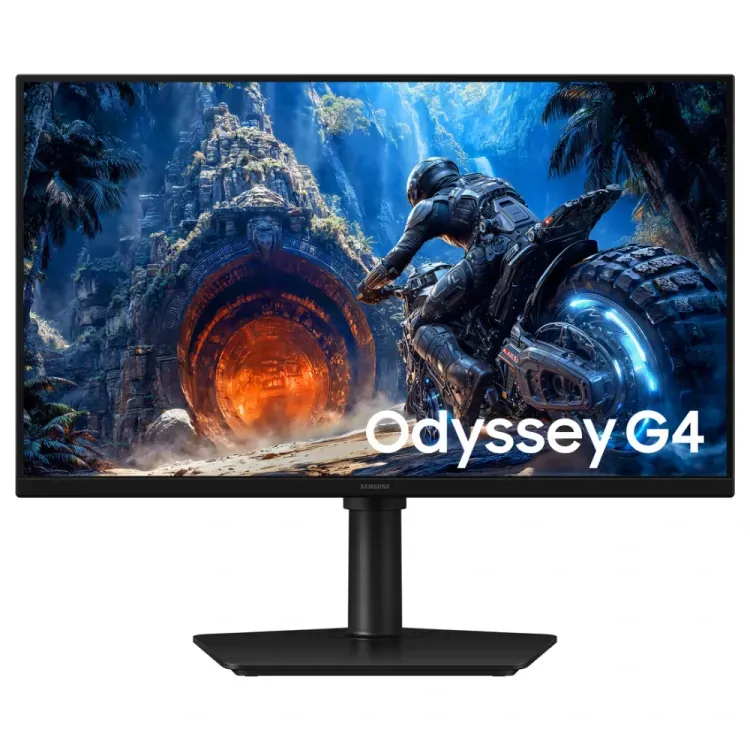SAMSUNG Odyssey G4 25" G40H LS25HG402EUXEN Monitor