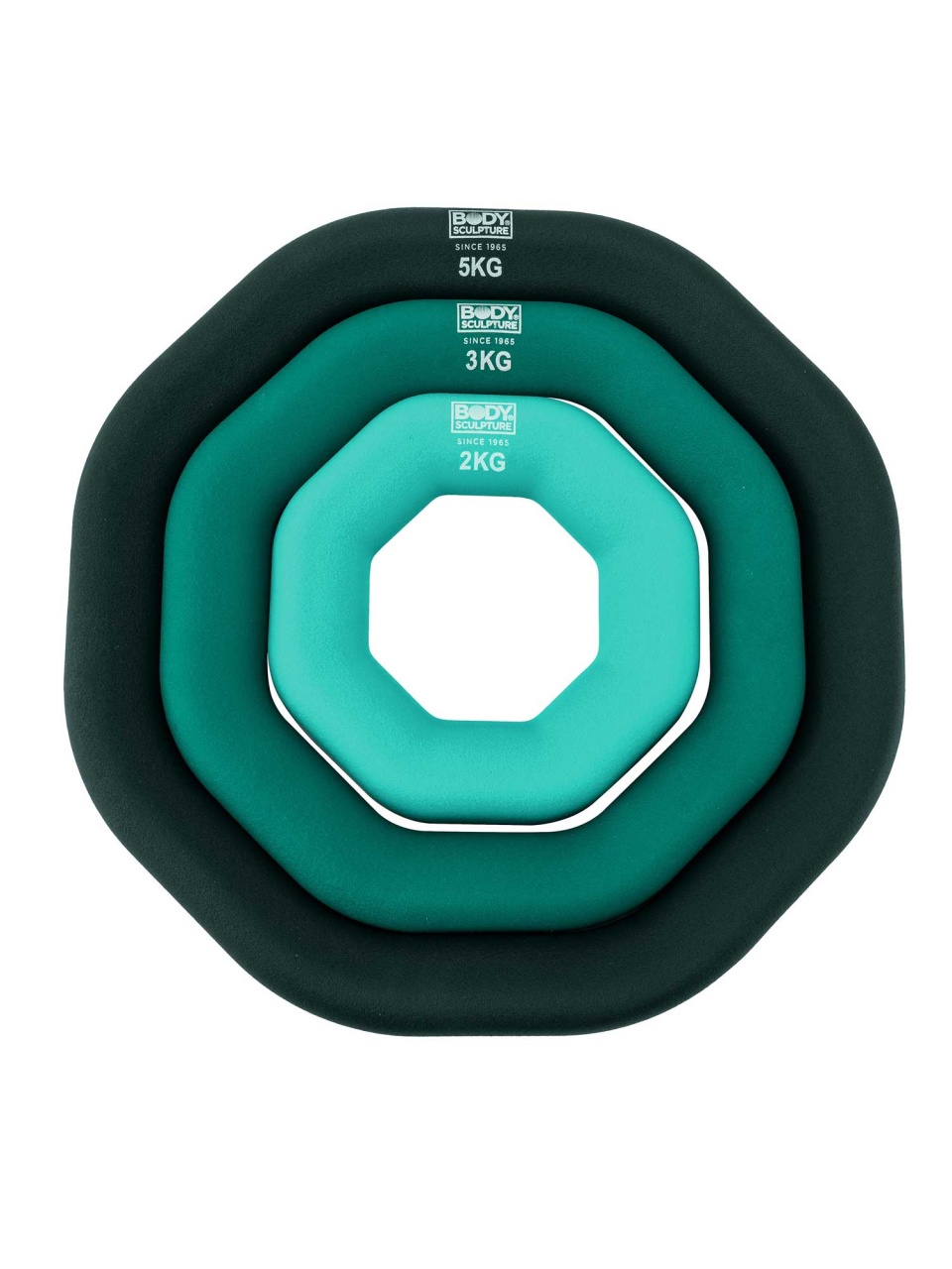 Set of rings with weights 10 kg