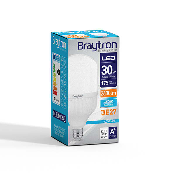 BA13-03023 LED SIJALICA 30W E27 T100 6400K
