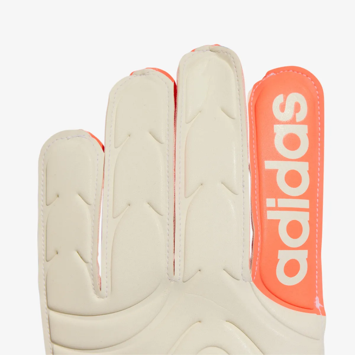 ADIDAS Golmanske rukavice COPA GL CLB