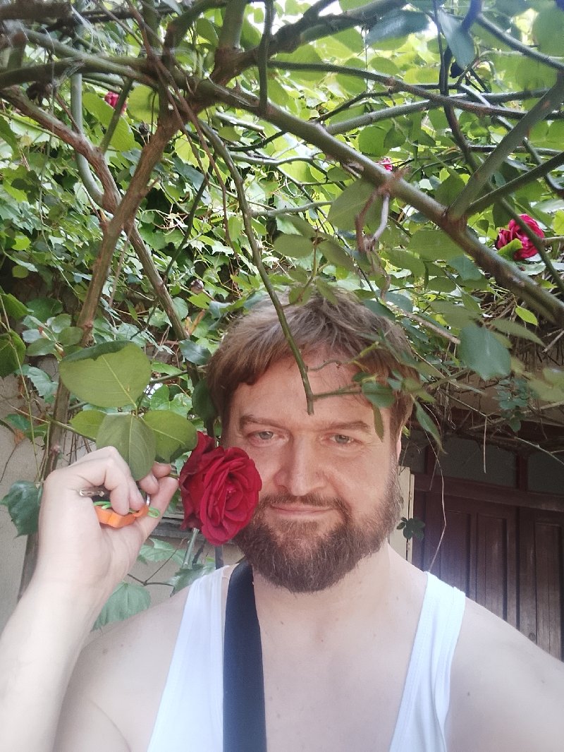 Traži se odvažna devojka