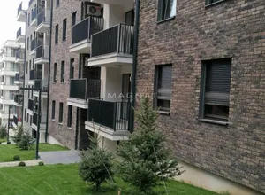 Izdavanje Stan - Beograd, Palilula: Rospi Ćuprija - Lešće
