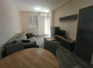 Izdavanje Stan - Novi Sad, Detelinara: Stara Detelinara - Nova Detelinara