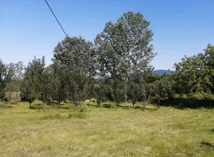 Prodaja Građevinsko zemljište - Užice