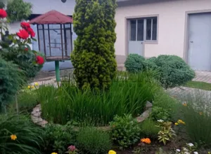 Prodaja Kuća - Batočina