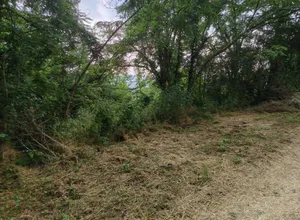 Prodaja Građevinsko zemljište - Mionica