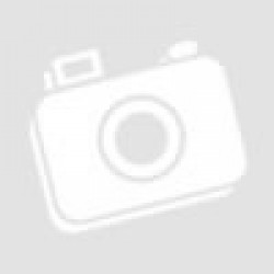 GEMBIRD VIDEO NADZOR CAM-IP5MP-EP48 5MPIX MICROSD TWO-WAY VOICES IP66