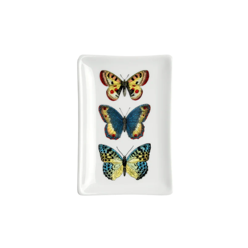 ČINIJA FORNASETTI – FARFALLE