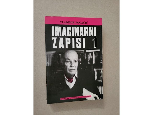 Vladimir Pogacic - Imaginarni zapisi 1