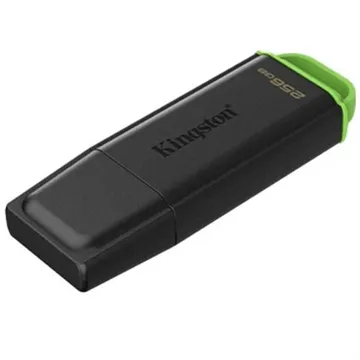 KINGSTON DATATRAVELER EXODIA USB-A 3.2 GEN 1 FLASH DRIVE - 256GB