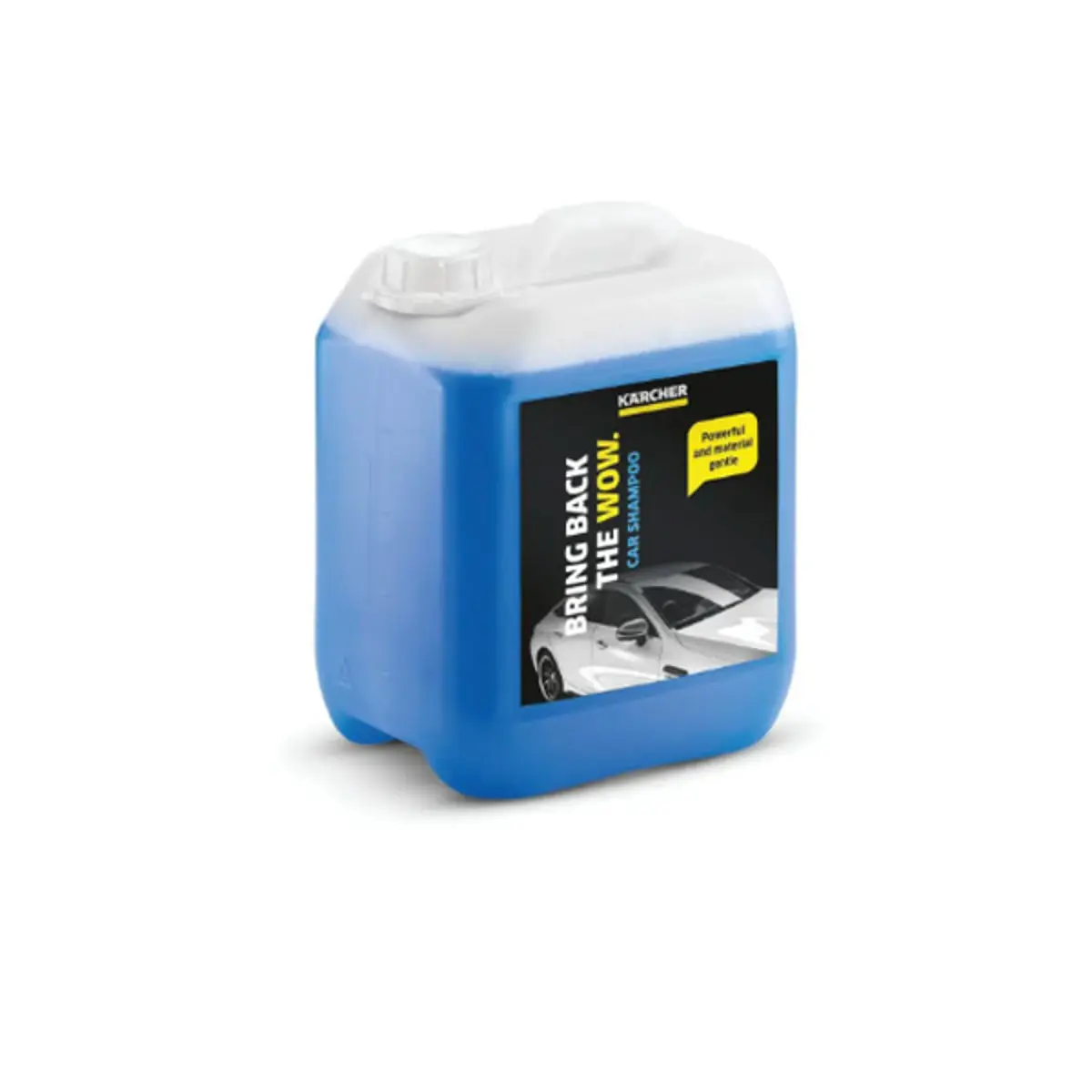 Sredstvo za čišćenje Karcher RM619