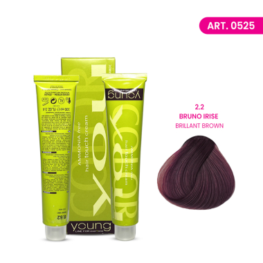 FARBA ZA KOSU YOUNG 100ml BEZ AMONIJAKA No 2.2 Art.0525