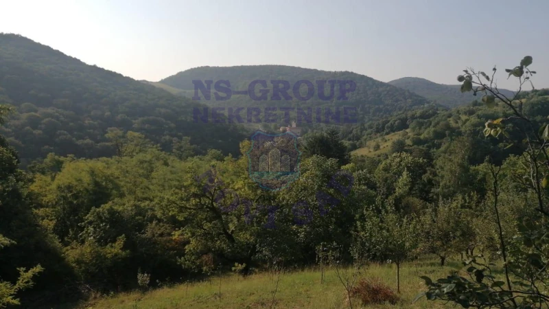 Stari Rakovac, Rakovac