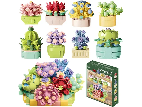 Jungle Kocke Sukulenti Bb034B