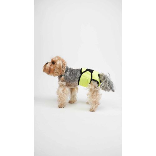 Kulot - Yellow Yellow Dog's Panties
