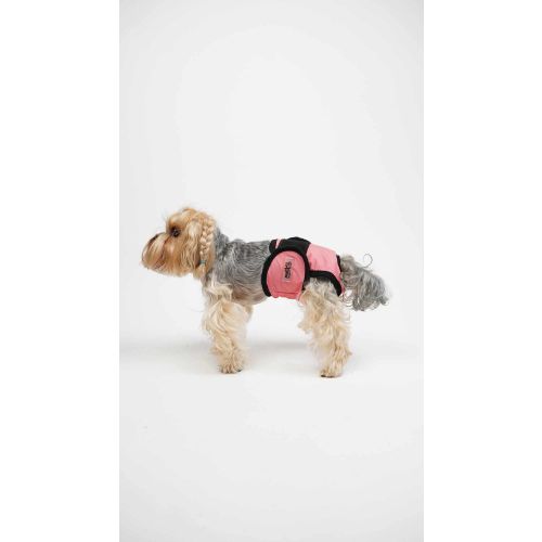 Kulot - Pink Pink Dog's Panties