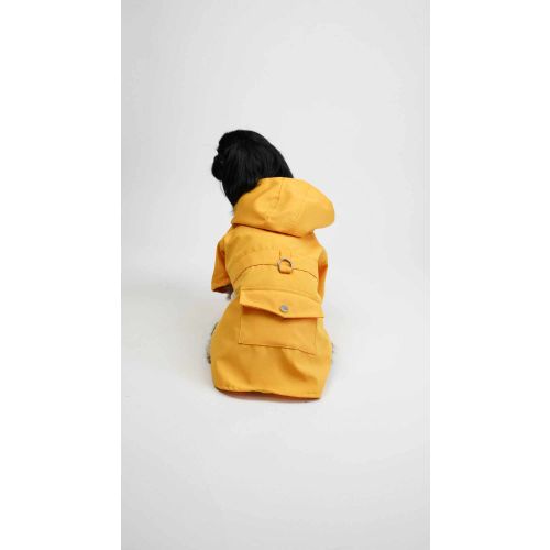 Pawjoy - Yellow Yellow Pet's Coat