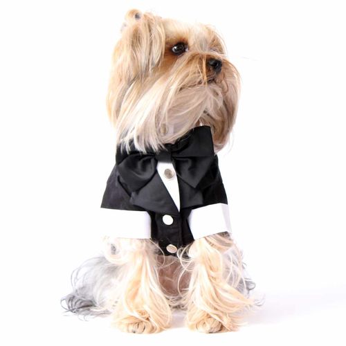 Smokin - Black Black Pet Dress