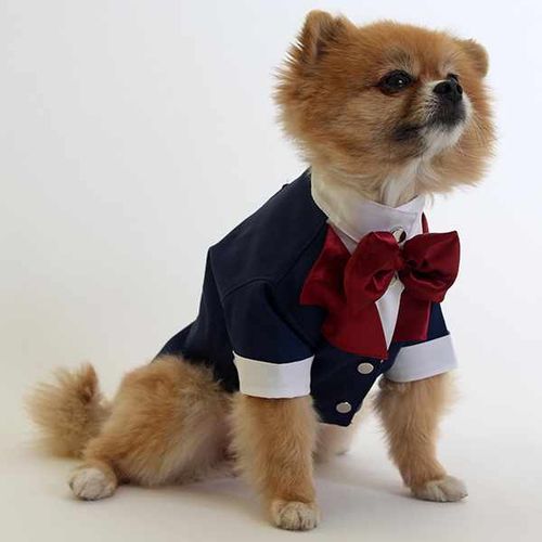 Smokin - Dark Blue Dark Blue Pet Dress