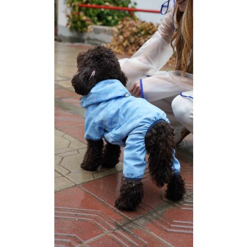 Sihirli - Blue Blue Dog's Raincoat