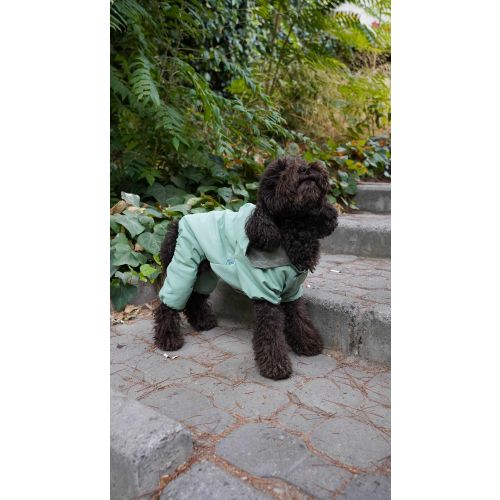 Sihirli - Green Green Dog's Raincoat