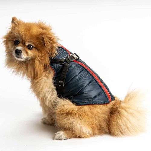Tasmali Dark BlueRed Dog's Vest